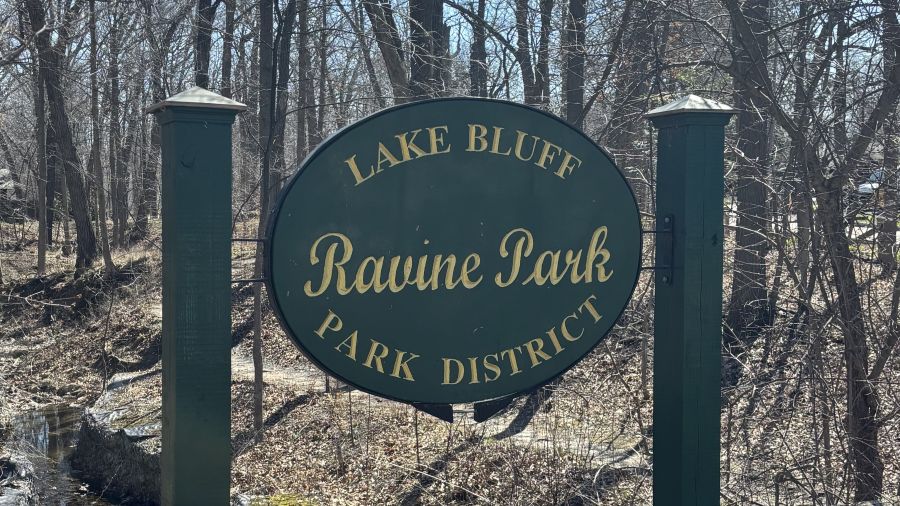 Ravine Park Celebration - Lake Bluff Park District
